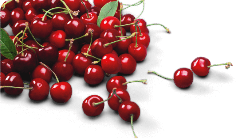 Cherry – TPP Enterprise LTD.